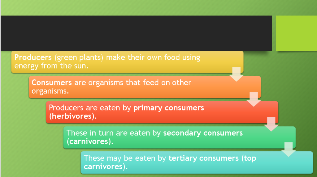 Ecology Powerpoint – thescienceteacher.ie
