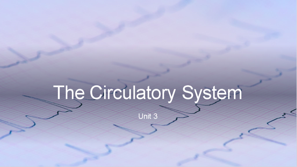 Circulatory System Ppt Thescienceteacher Ie