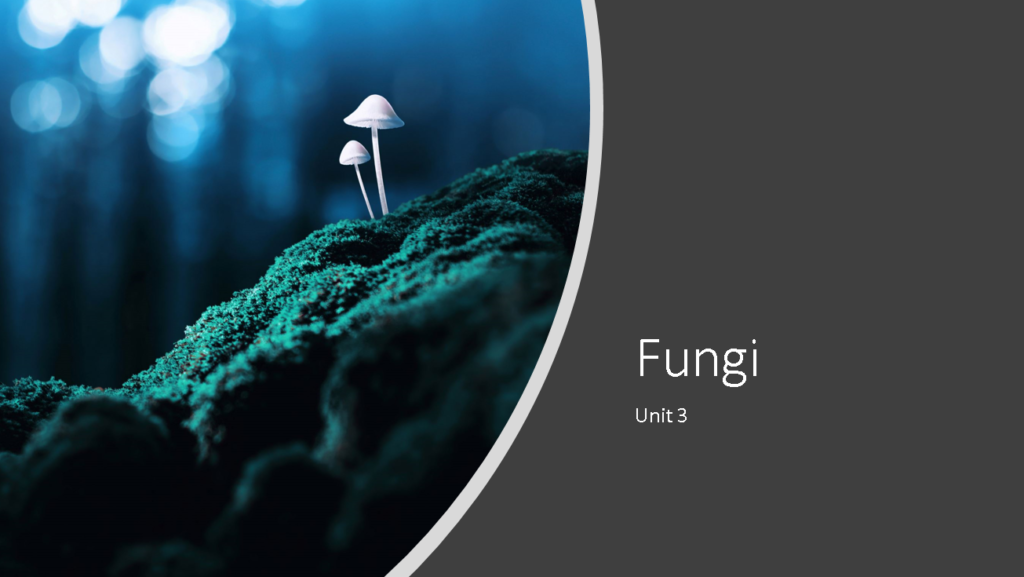 Fungi PPT – thescienceteacher.ie